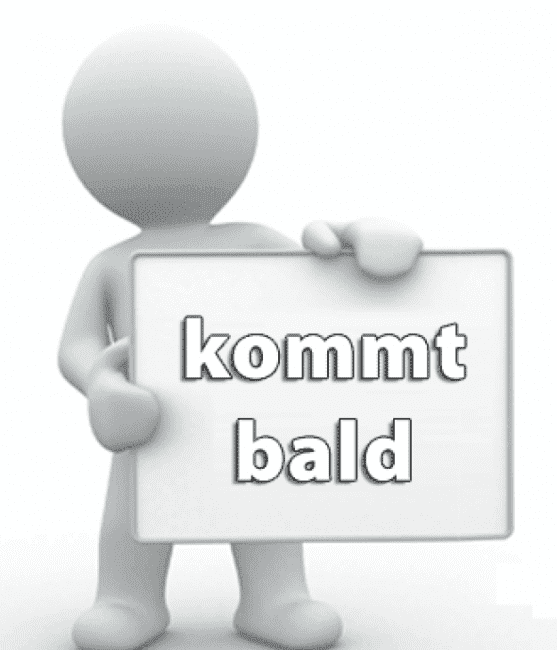 Schulverwaltung | Domgymnasium Fulda